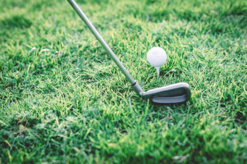 Fox Haven Golf and Country Club